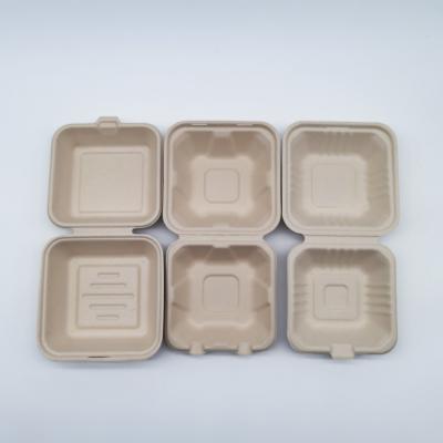 Cina Contenitori biodegradabili della canna da zucchero delle stoviglie della bagassa dell'alimento amichevole di Eco per accamparsi in vendita