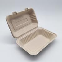 China 900ml Biodegradable Sugarcane Bagasse Clamshell Takeout Food Container 9x6x3 Inch for sale