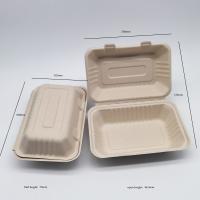 China 900ml Biodegradable Sugarcane Bagasse Clamshell Takeout Food Container 9x6x3 Inch for sale