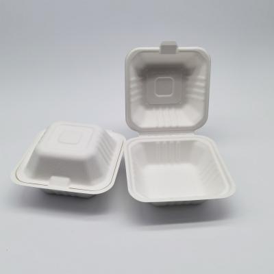 Cina Dell'eliminare contenitori biodegradabili a 6 pollici, imballaggio biodegradabile bianco della copertura superiore in vendita