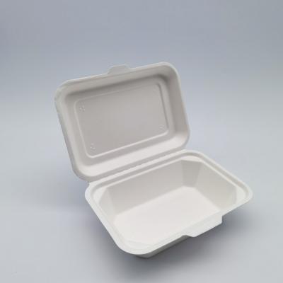 Cina 600ml pranzano contenitori asportabili eliminabili delle stoviglie biodegradabili della bagassa in vendita