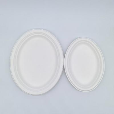 Cina Le stoviglie biodegradabili della bagassa del partito resistente placcano la forma ovale in vendita