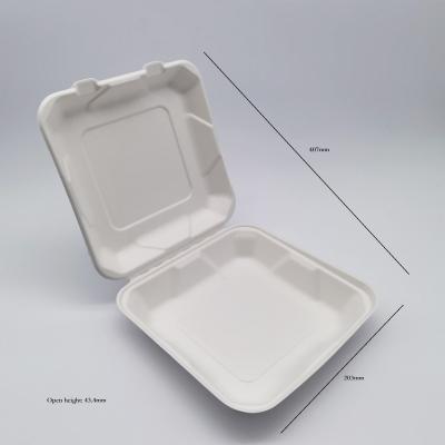 Cina 900ml contenitori da portar via biodegradabili, scatole asportabili biodegradabili Microwavable in vendita