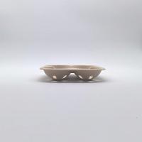China Compostable Bagasse Fruit Tray with Hole 185x135mm Eco Friendly Biodegradable Food Container for sale