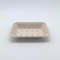China Compostable Bagasse Fruit Tray with Hole 185x135mm Eco Friendly Biodegradable Food Container for sale