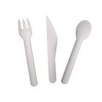 China Biodegradable Paper Cutlery Set 160mm Eco Friendly Disposable Spoon Fork Knife for sale