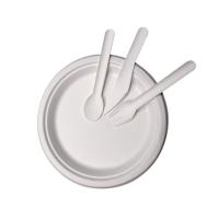 China Biodegradable Paper Cutlery Set 160mm Eco Friendly Disposable Spoon Fork Knife for sale