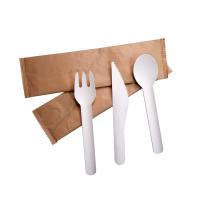 China Biodegradable Paper Cutlery Set 160mm Eco Friendly Disposable Spoon Fork Knife for sale
