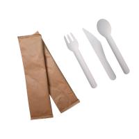 China Biodegradable Paper Cutlery Set 160mm Eco Friendly Disposable Spoon Fork Knife for sale