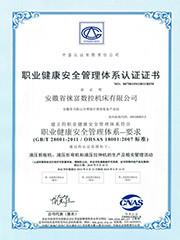 Certificate of occupational health and safety management system - Accurl Machine Tools