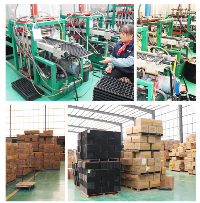 Durable 21 32 50 72 105 128 Cells Seed Plant Germination Vegetables Flower Growing Tray Garden Seedling Nursery Trays