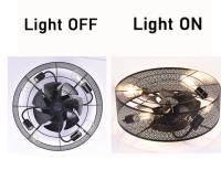 China Stylish and Functional Ceiling Fan Light for sale