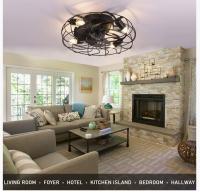 China Stylish and Functional Ceiling Fan Light for sale