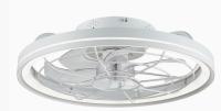 China Stylish and Functional Fan Light for sale