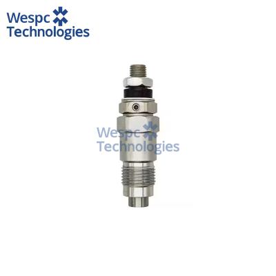 China WESPC High Quality Injection Valves Diesel Common Rail Injector 131406340 for sale