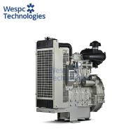 Quality WESPC Perkins Diesel Generator With Engine 404D-22G Electric Generator for sale