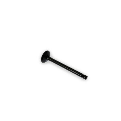 China WESPC 120176250 High-Temperature Resistant Exhaust Valve for Perkins 400 Series Diesel Engines with Alloy Steel Construction for sale