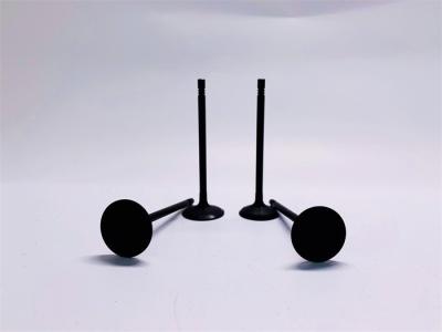 China Perkins Diesel Engine Valve for sale