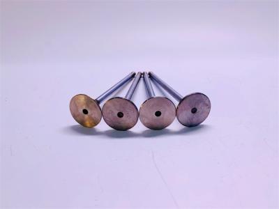 中国 3940735 3940734ディーゼル機関弁適合小松6D107 4D107 Cummins QSB6.7 QSB4.5 販売のため