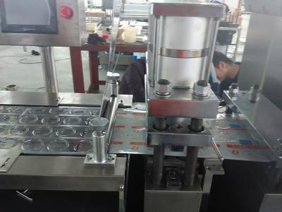 China Tela de toque automática compacta padrão do PLC da máquina de embalagem da bolha do PBF à venda