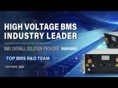 Hoogspanning BMS Lithium BMS Lifepo4 BMS Batterijbeheersysteem voor UPS Power UPS-oplossing Energieopslagoplossing