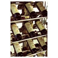 China Odorless Nonfrost Wine Cooler Refrigerator Multiscene Single Zone for sale