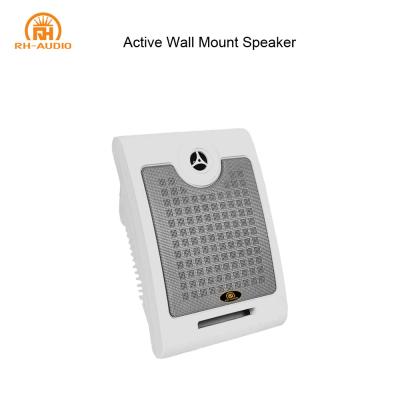 China RH-AUDIO Wall Mount Speaker Restaurant Sound System with Built-in Amplifier for Background Music for sale