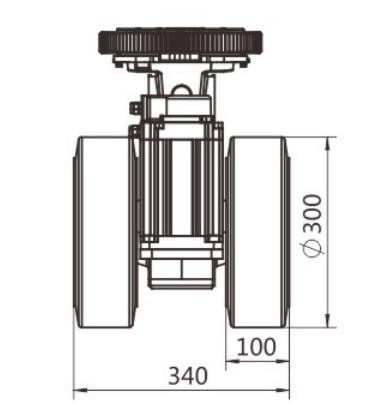 Assetto del volante di un AGV resistente Potenza motrice 3000W Diametro della ruota 300MM