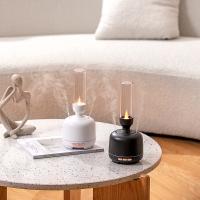 China Two Spray Port Essential Oil Diffuser Changeable LED Light Aromatherapy Scent Diffuser Machine Candle Mini Humidifier for sale