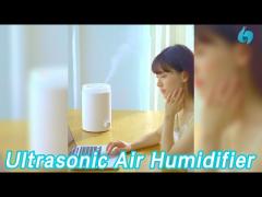 2 In 1 Quiet Aroma Ultrasonic Air Humidifier Timing 30w With Warm Lights