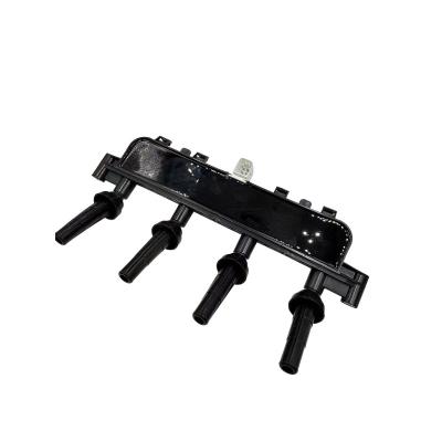 중국 퓨조 206 207 시트로엔 C2 597079 597078 596319의 발화 코일 판매용