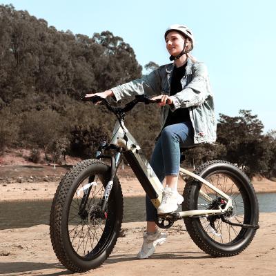 China F612 F622 Fat Tire Ebike 750W Motor 7 Speed Hydraulic Disc Brake Fat Bike for Snow Beach City Mountain Bike for sale
