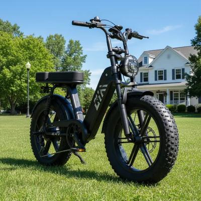 China R7 Womens Fat Tire Electric Bike | 20 Inch Comfortable City All-Terrain E-Bike for Ladies City bike for sale