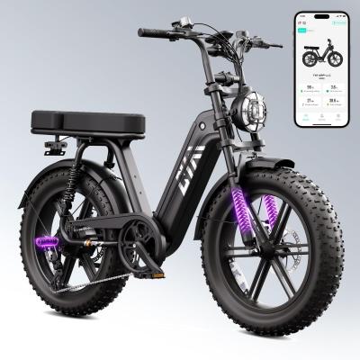 China High Quality 750w 1000w 1200w 1500w Electric Bike 20 Inch Mountain Electric Bike for Outdoors for sale