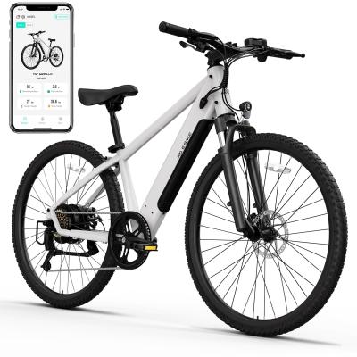 China TST M612 Adult City Electric Bike 500W Brushless Rear Hub Motor 36V 7.8Ah Lithium Battery 7-Speed LCD Display Metal Frame for sale