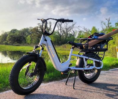 China 20 Inch Long Tail Electric Cargo Bike 48V Folding Urban Commuter Ebike for Family Kids Pets Large Rack City Transport for sale