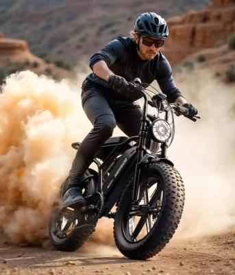 China Hot Selling  2025 20 Inch  OEM Supplier Mountain Bike  Wholesale Beach Snow Bike   Fit Tire Electric Bike  750w for sale