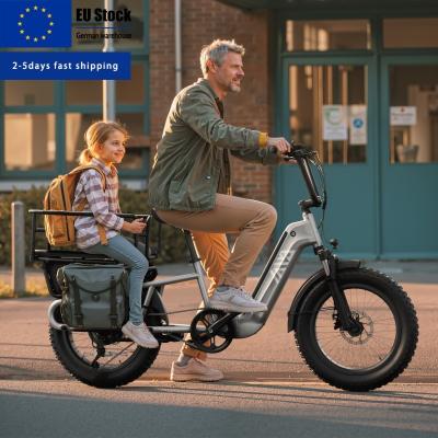 China Fashion Electric Bike Electric Dirt Bike  250w 500w 750w Electric Long Tail Cargo Bike for Urban & Family Use for sale