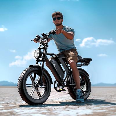 China Full Suspension R002 20''*4.0 250W Electric Bike with Rear Hub Motor 48v Vintage Fat Tire Bike Power Supply Lithium Battery for sale