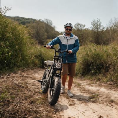 China 48v 15ah 20ah 25km/h Electric Bike 750w 20inch Fat Tire E-bike 750w Electric Bicycle EU  Warehouse Adult Fatbike Dirt Bike for sale