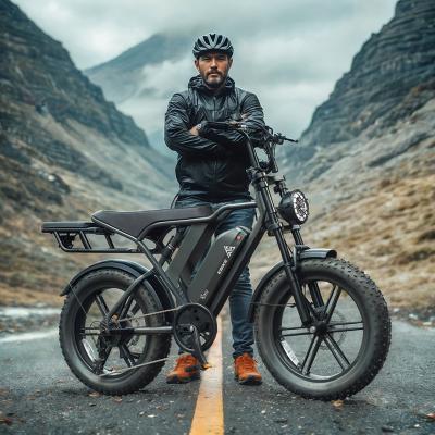 China V20 20inch Electric Bike 48V 15Ah Steel Frame Fatbike 750w Lithium Battery LCD Rear Hub Motor 20 Inch 7 Speed V20 Pro for sale