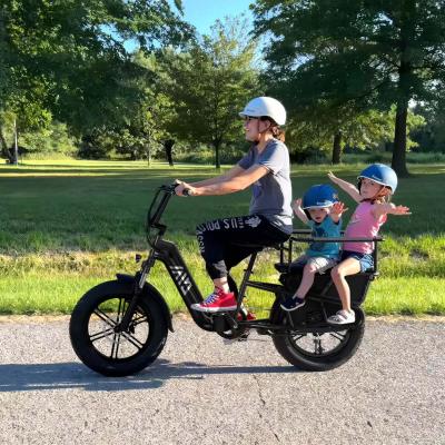 China Fat Tire Electric E Bike for Adults USA Stock E-bike FEbike Electric Bike Lithium Battery Electric Bicycle Cargo Bike for sale