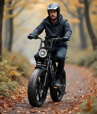 China Yeestep V20 V8 Original Factory OEM ODM 15Ah 20Ah Lithium Battery E Bike 48V 750W 1000W 500W Electric Bike for sale