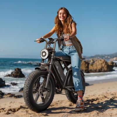 China UK New Arrival 20inch Fat Tire Ebike High Power Motor 7 Speed High Speed Bike Fat Electric Bicycle with Rear Rack for sale