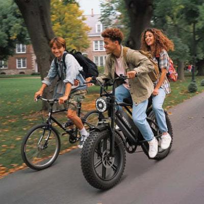 China USA EU Warehouse Electric Bike Original Ebike Fat Tire Fatbike 750W Electric Bicycle Electric Road Biketalaria Mx5 for sale