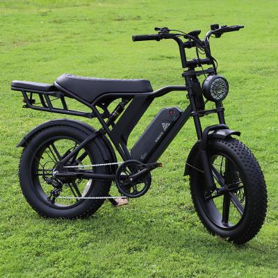 China E-Bike 20inch 750W Fat Tire Bike Seater Electric Off-Road Mountain Bike with 48v Battery Steel Frame Best Price for sale