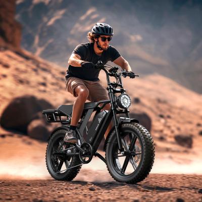China 20inch 750W Fat Tire Bike Seater Electric Off-Road Mountain E-Bike with 48v Steel Frame Best Price for sale