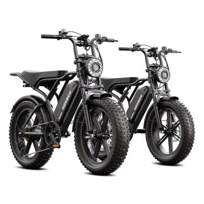 China 20inch EU Fat Tire Bike Electric Off-Road Fat Tire E-Bike with Best Price and Seater 48v Battery Steel Frame 250W for sale