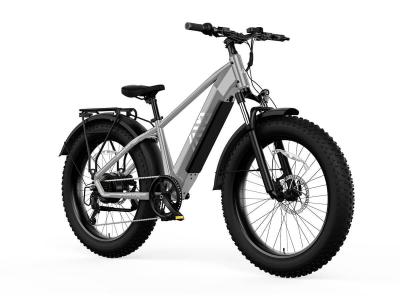 China Factory Price Wholesale city bike  F612 Off Road Motor 750W Fat Tire Ebike 7 Speed Hydraulic Disc Brake Fat Bike for sale