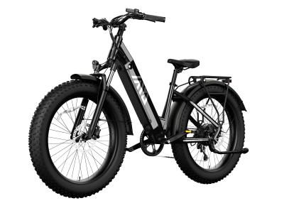 China Factory Price F622 26 Inch Off Road Motor 750W Fat Tire Ebike 7 Speed Hydraulic Disc Brake Fat Mountain Bike for sale